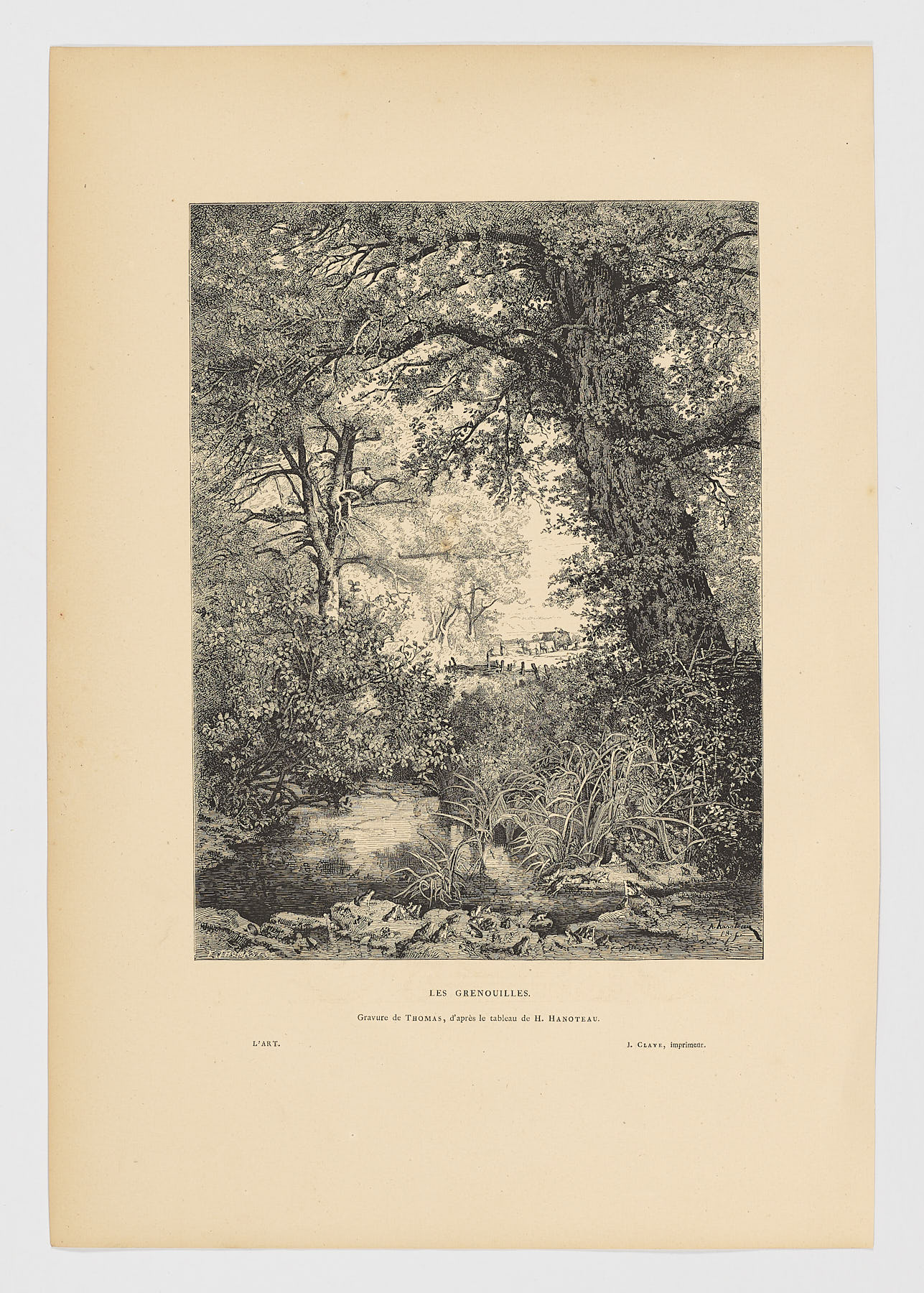 Émile Thomas, Les Grenouilles, 1875 Comprar Arte, Xilografía. Grabados ...